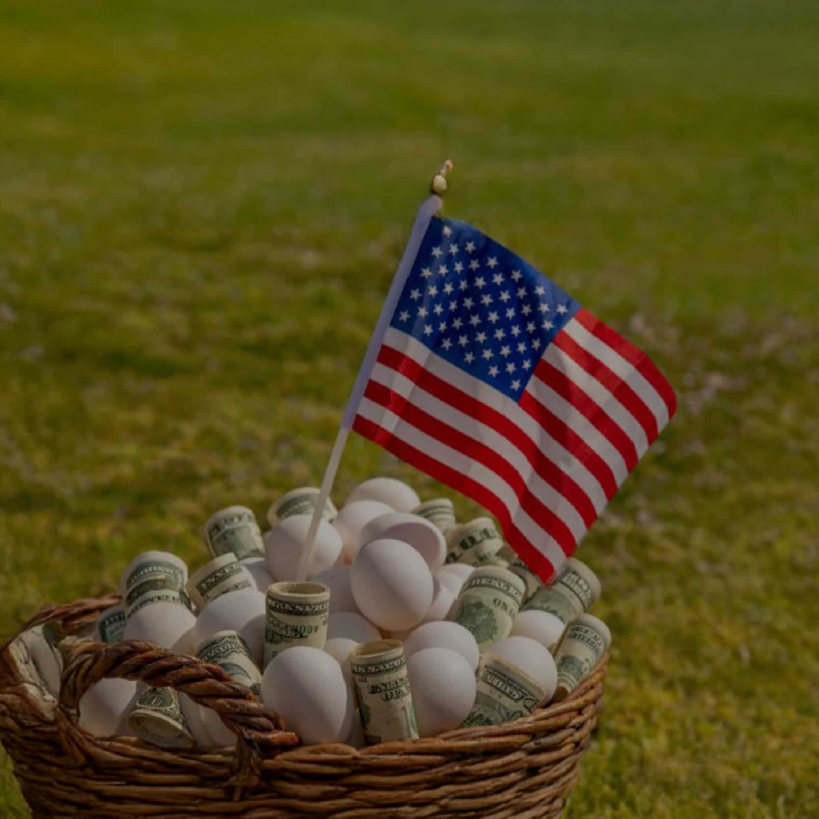 Putting some eggs outside the US equities basket | Anchor